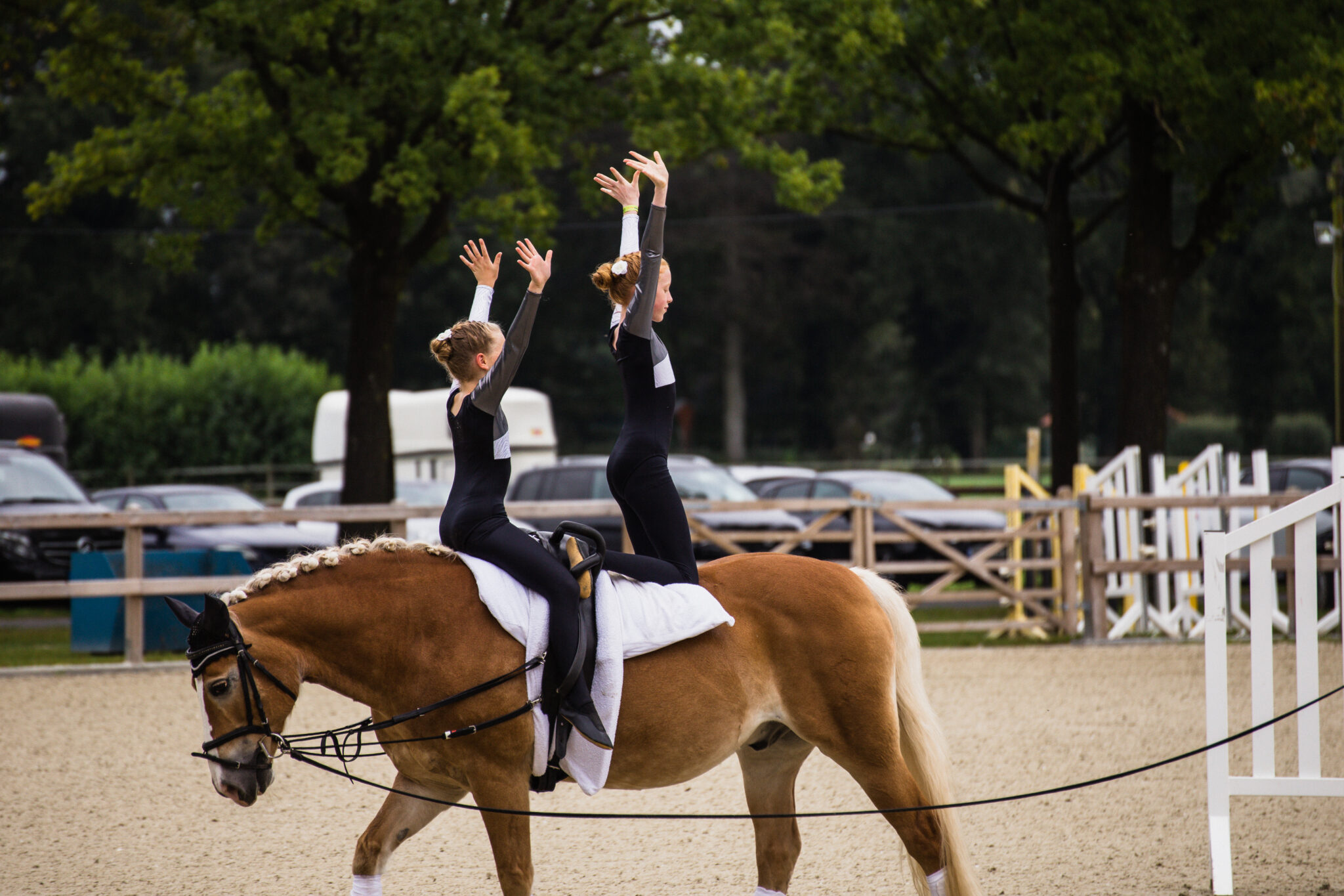 Unsere Volti-Mannschaften - Reit- und Fahrverein Barlo Bocholt e.V.